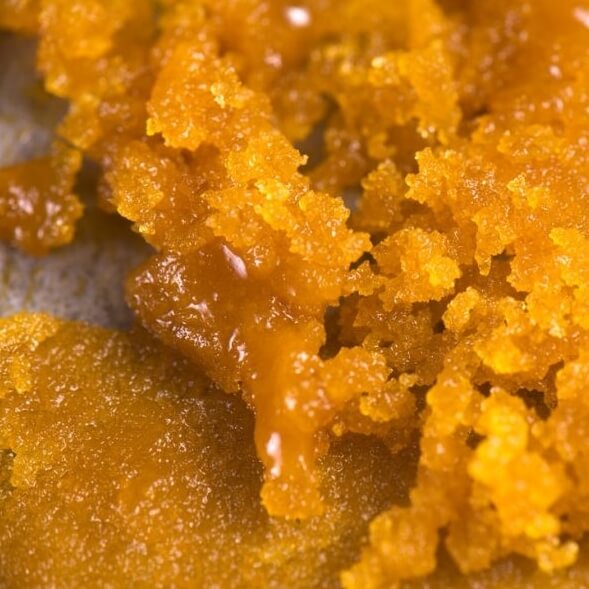 Cannabis Concentrates, Shatter, Hash, Dab Drug. Buy Weed.