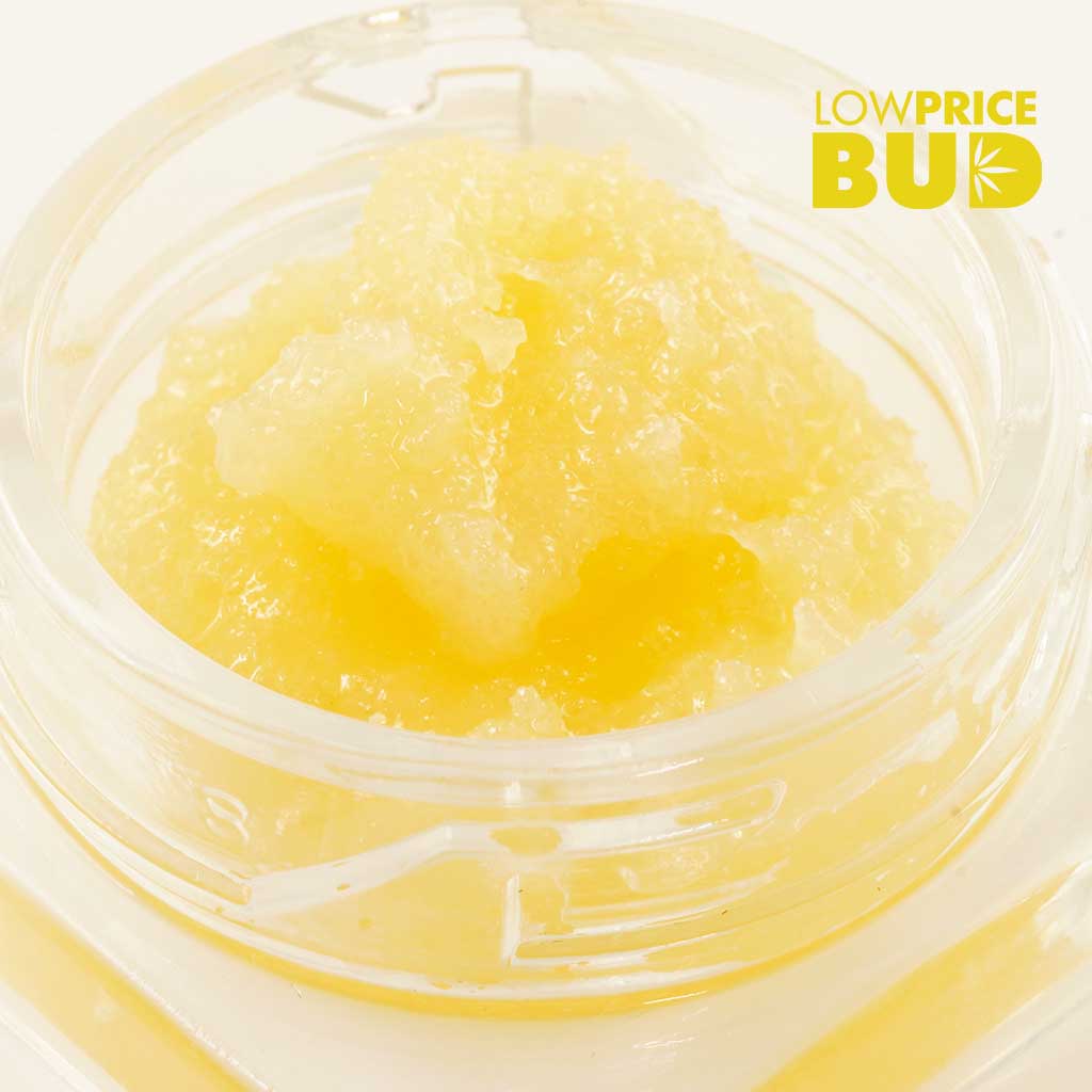 Resin - Mike Tyson - Low Price Bud