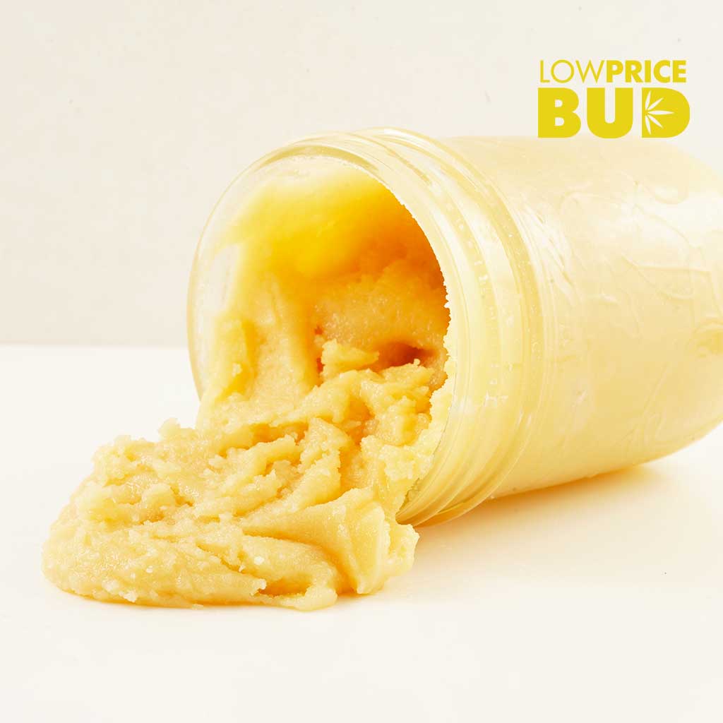 Resin - Mike Tyson - Low Price Bud