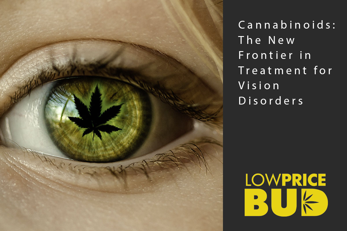 Cannabinoids: The New Frontier in Treatment for Vision Disorders - Low ...