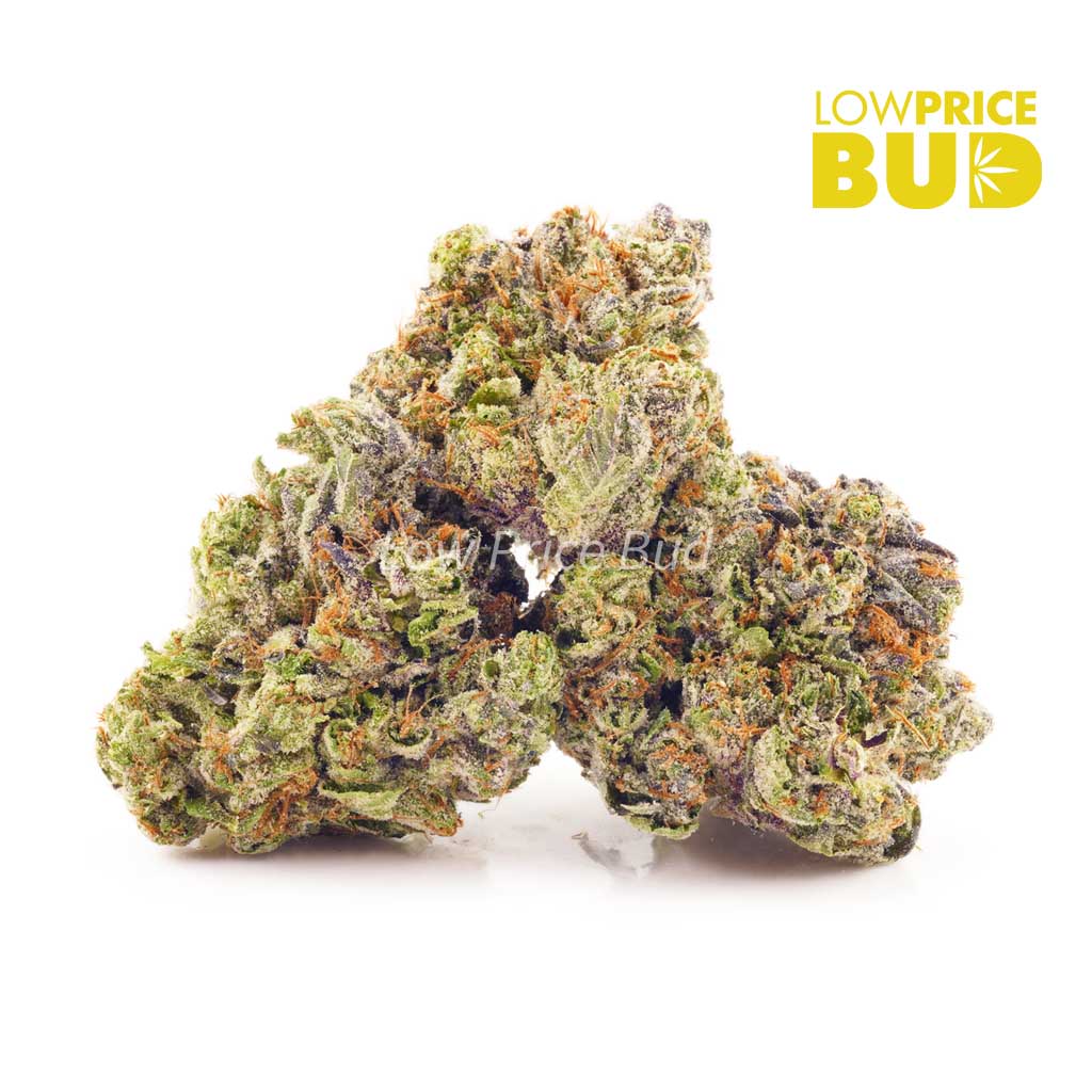 Granddaddy Purple (AAAA) - Low Price Bud