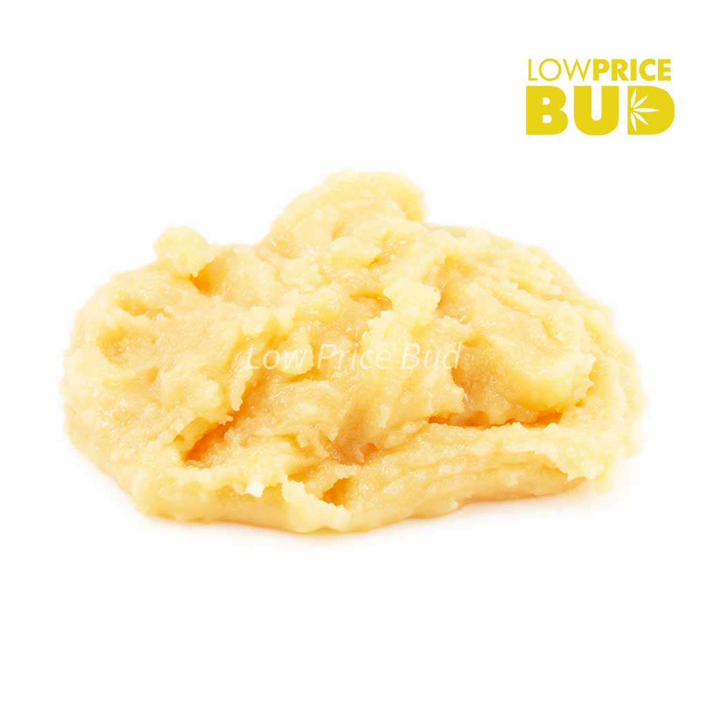 Caviar – Guava Cake - Low Price Bud