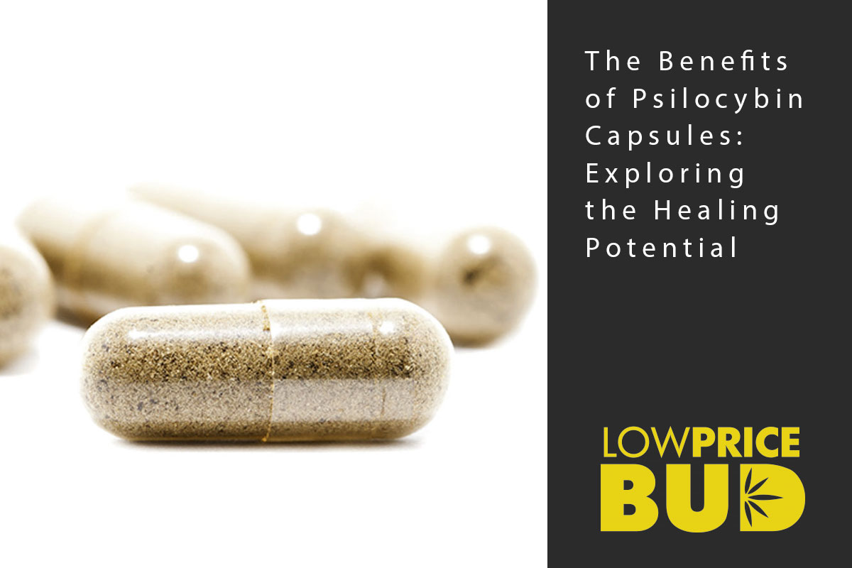 The Benefits of Psilocybin Capsules: Exploring the Healing Potential ...