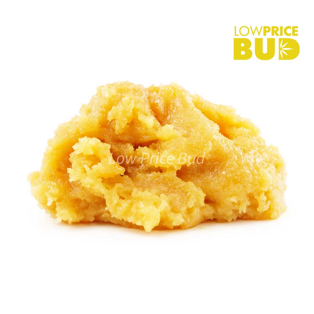 Cannabis Concentrates, Shatter, Hash, Dab Drug. Buy Weed.