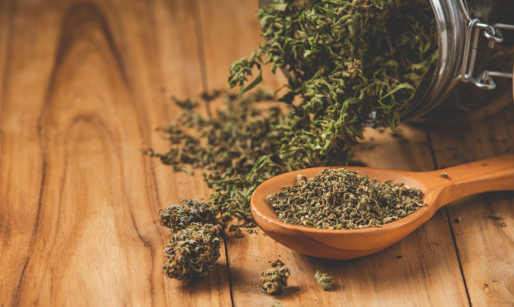 Choosing the Best Daytime Strains for Productivity