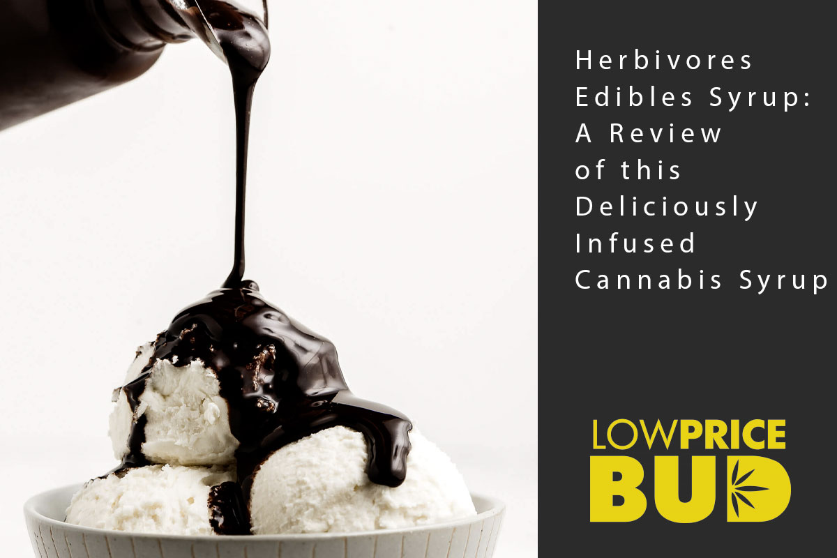Herbivores Edibles Syrup: A Review of this Deliciously Infused Cannabis ...