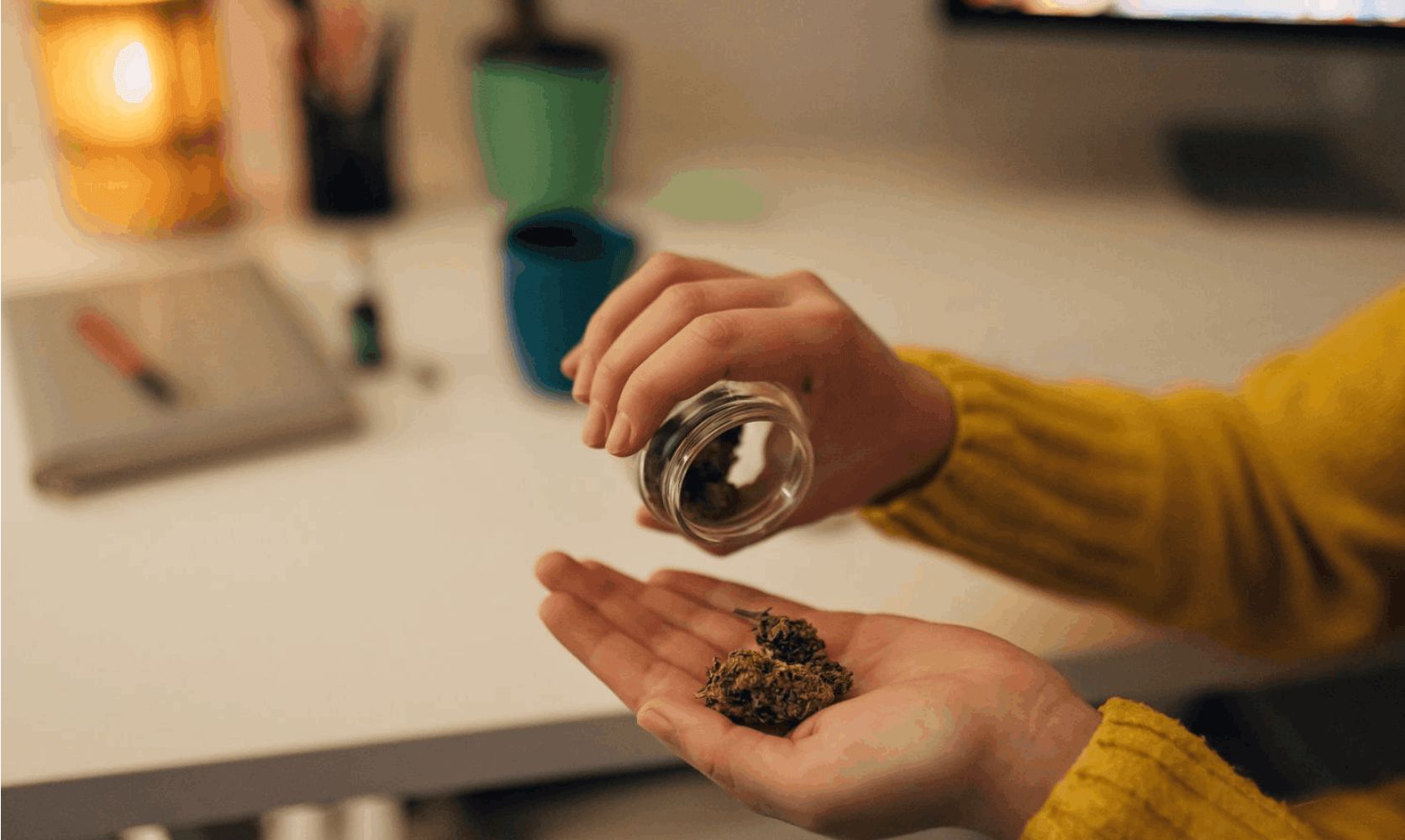 The BC Cannabis Phenomenon: Understanding its Popularity