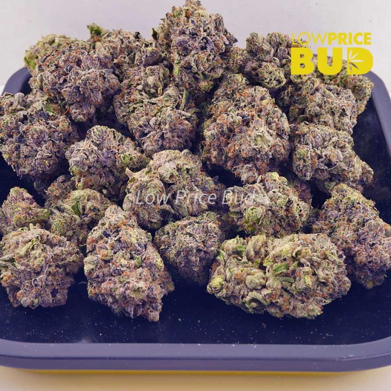 Vintage Blueberry (Craft Cannabis) - Low Price Bud
