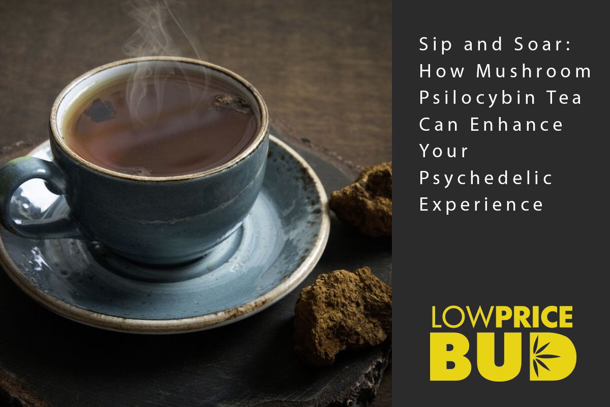 Sip and Soar: How Mushroom Psilocybin Tea Can Enhance Your Psychedelic ...