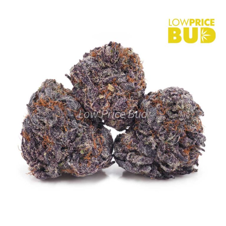 Purple Haze (AAAA) - Low Price Bud