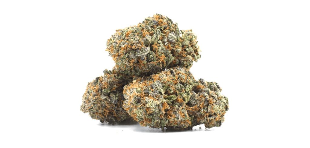 Exploring The Tom Ford Strain: A Classy Cannabis Experience