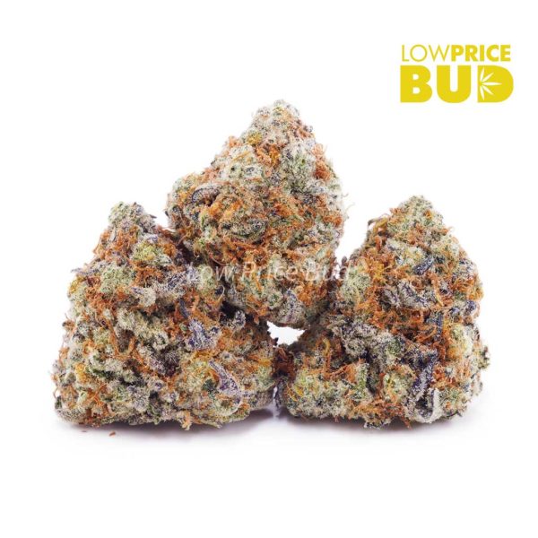 Kush Mintz (AAAA) - Low Price Bud