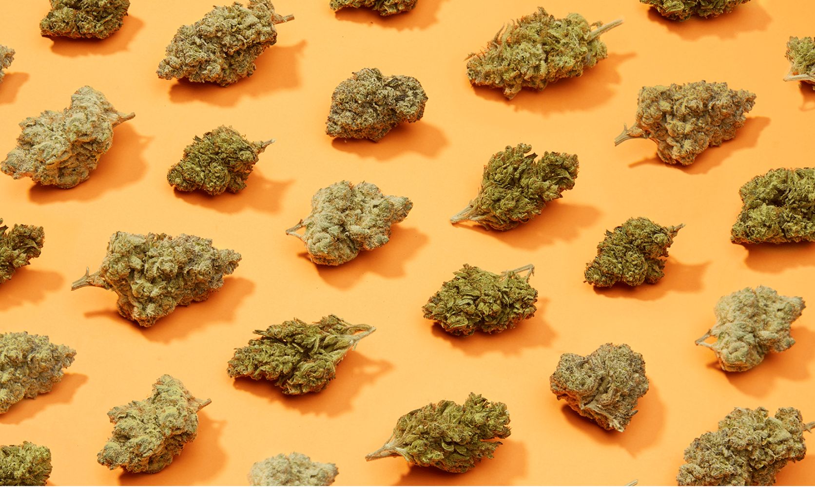 Wake Up with a Smile & Buy Sativa Weed at Our Dispensary