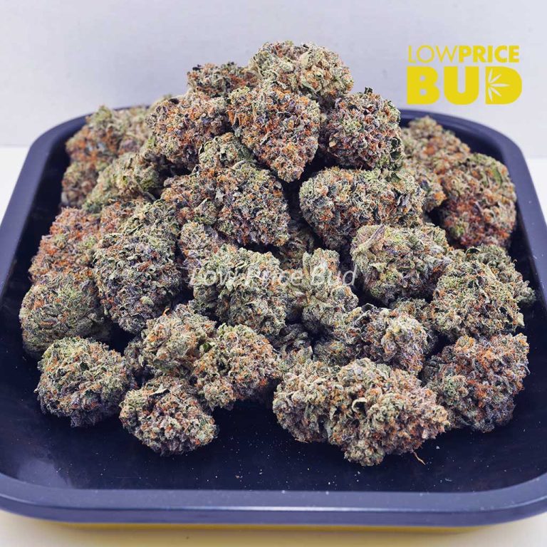 Couch Lock (Craft Cannabis) - Low Price Bud