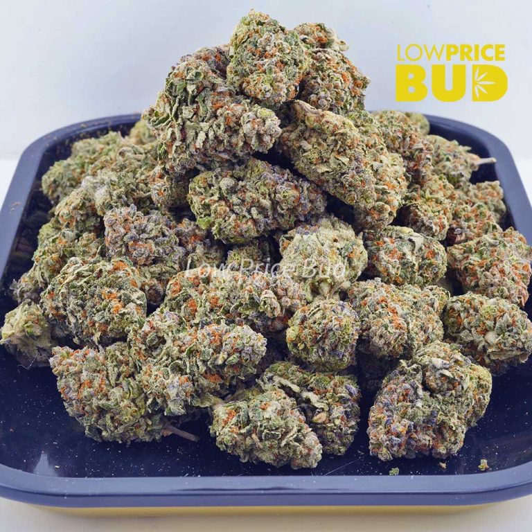 Supreme Octane (Craft Cannabis) - Low Price Bud