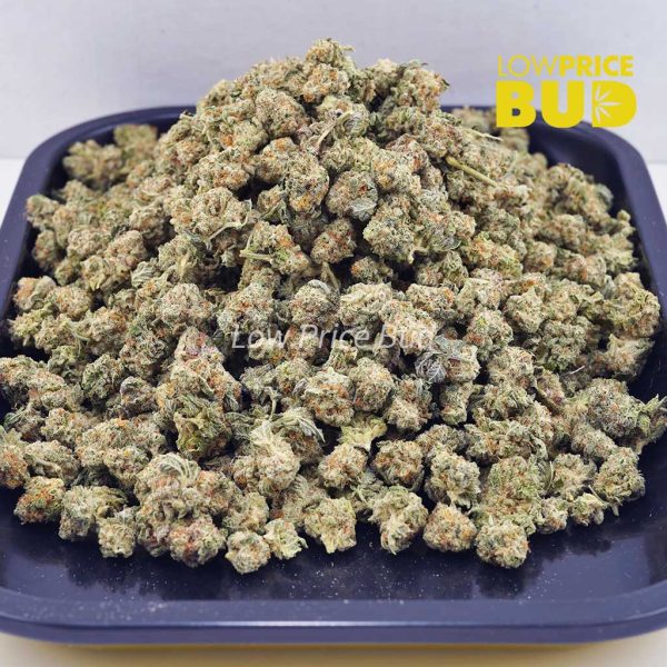 Astro Cookies (AAAA) - Popcorn Nugs - Low Price Bud