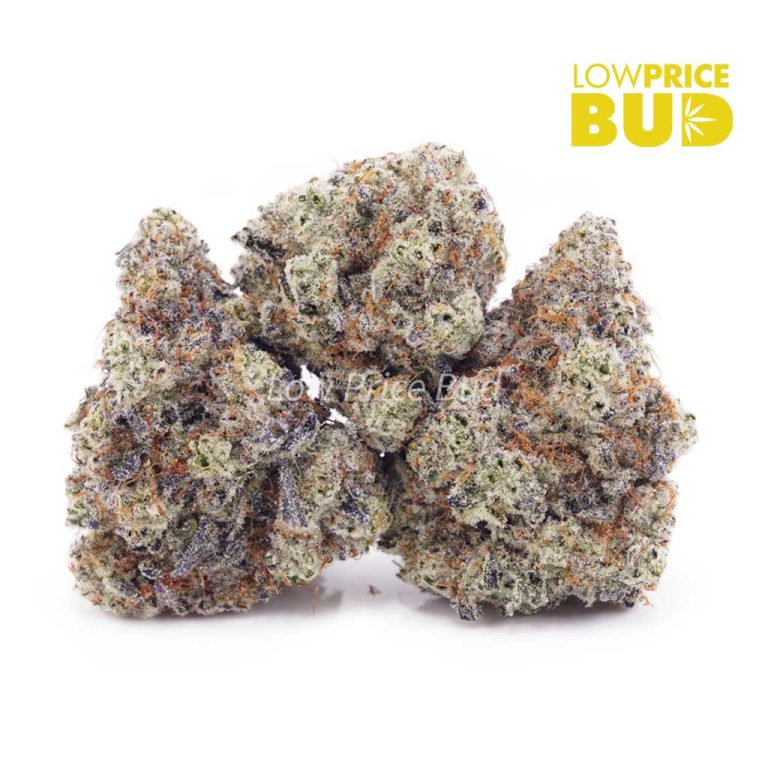 Astro Cookies (AAA) - Low Price Bud
