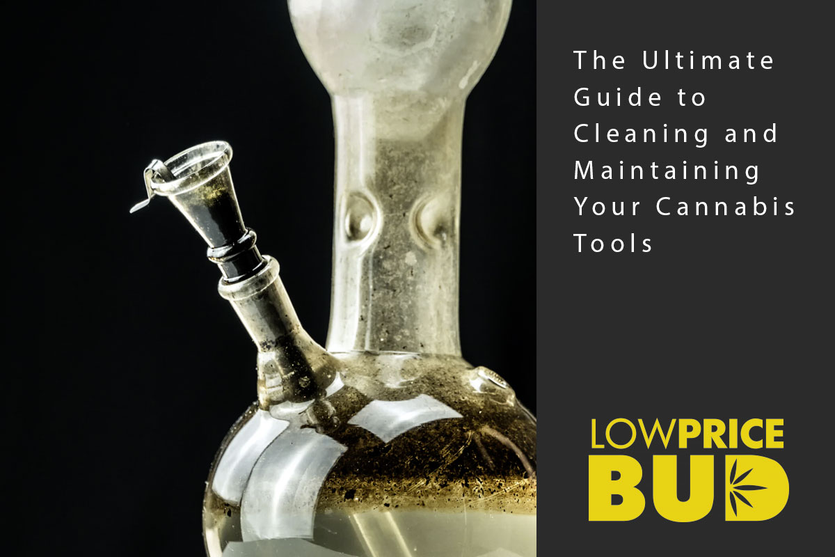 The Ultimate Guide to Cleaning and Maintaining Your Cannabis Tools ...