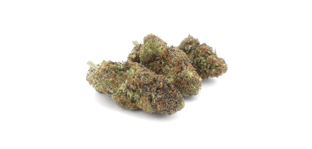 A Mythical Journey Through the Unicorn Poop Strain