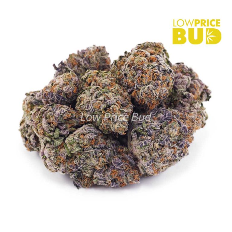 Grape Stomper (AAAA) - Low Price Bud