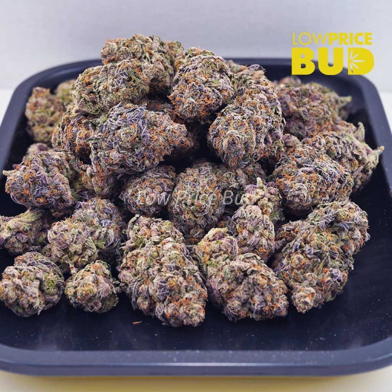 Grape Stomper (AAAA) - Low Price Bud