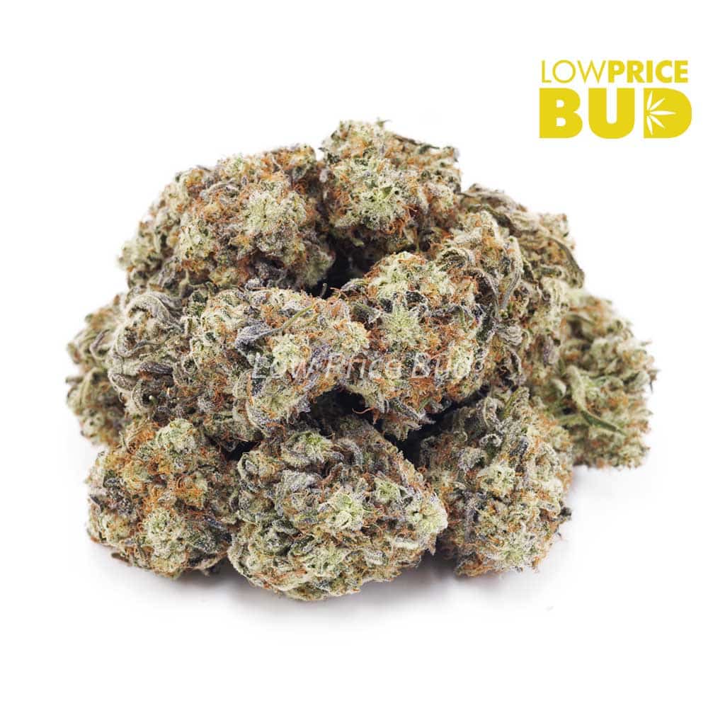 Cannabis Archives - Page 3 of 4 - Low Price Bud