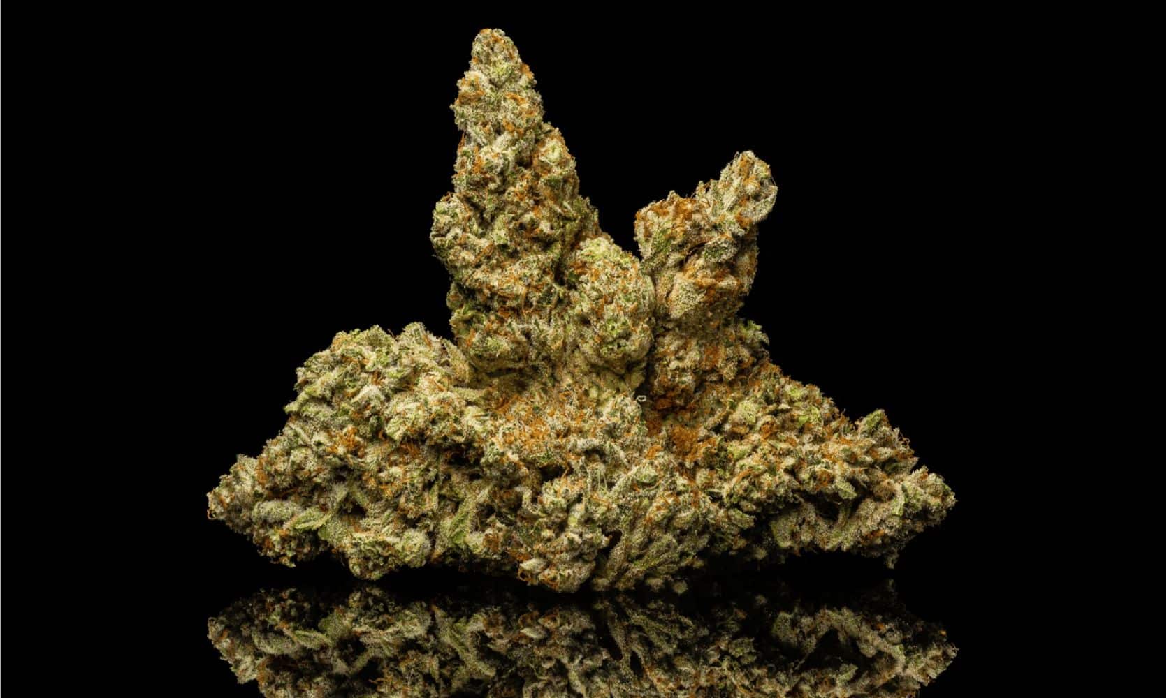 Jealousy Strain 411: Everything From THC Level to Effects