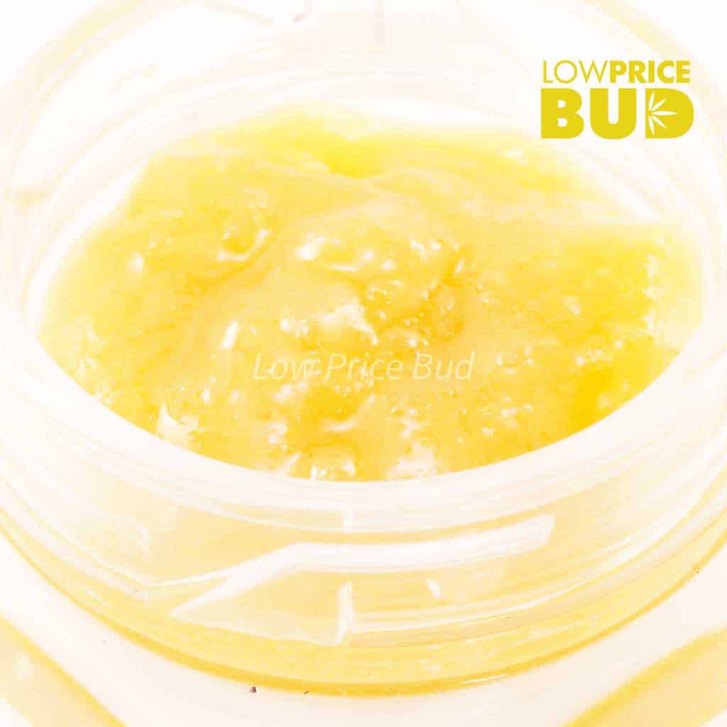 Caviar Archives - Low Price Bud