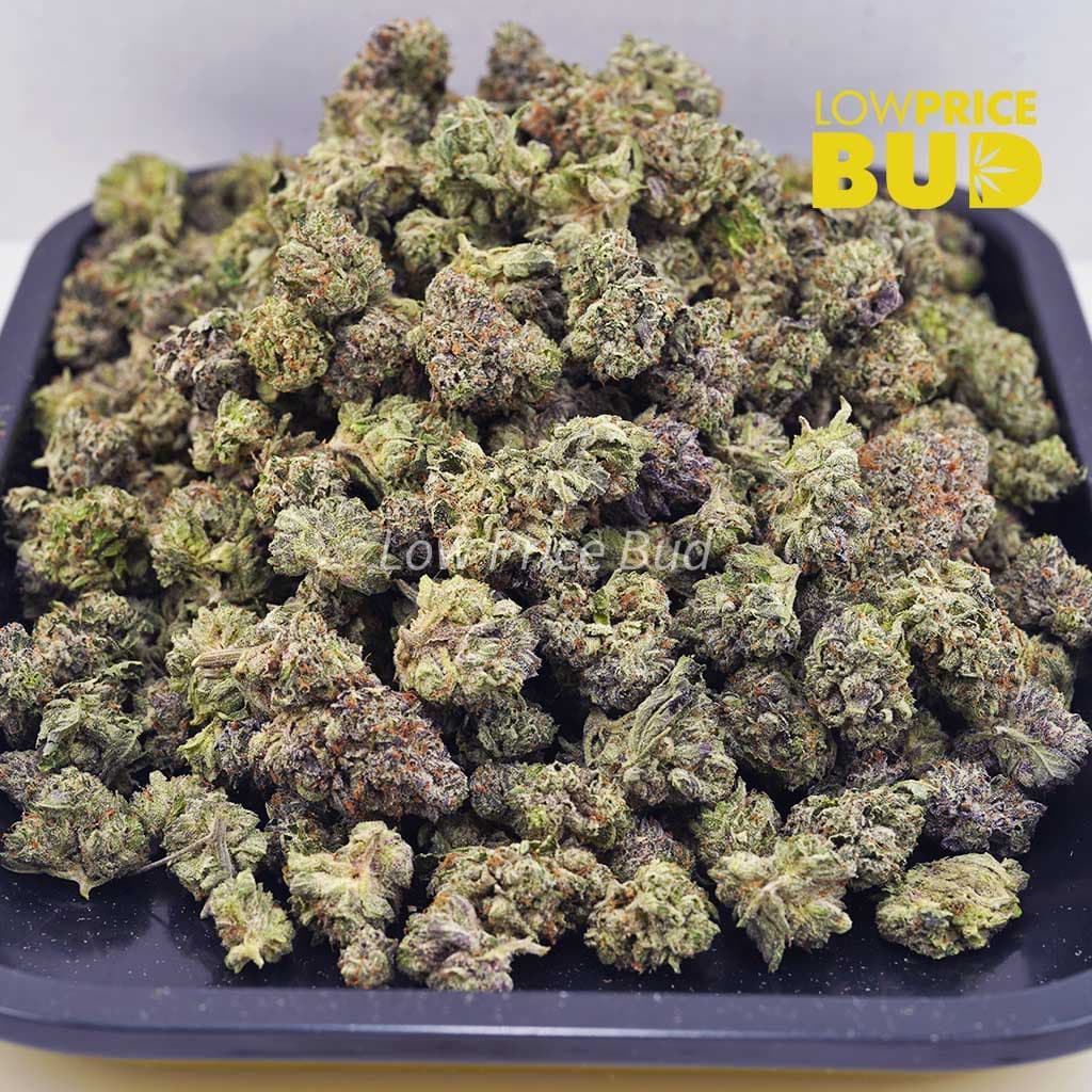 Gassy Strains Archives - Low Price Bud