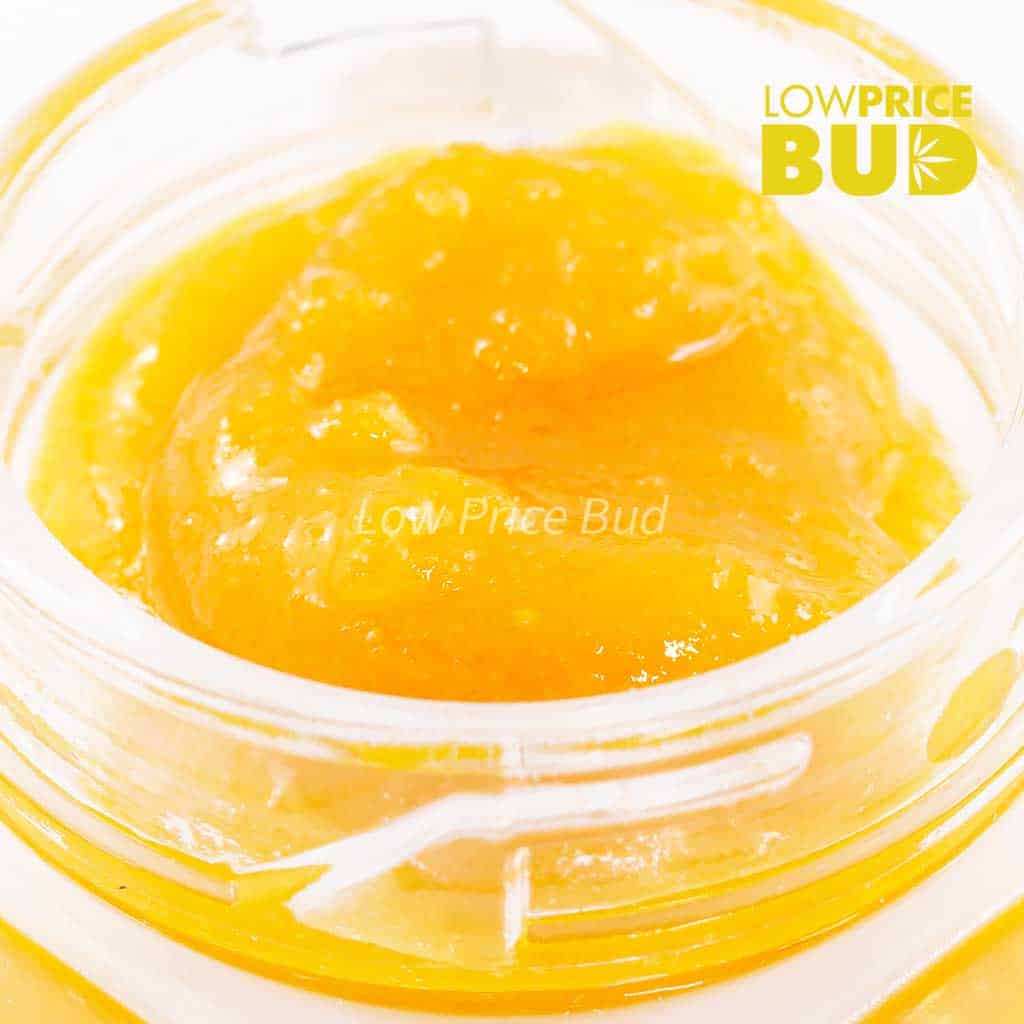 Caviar Archives - Low Price Bud