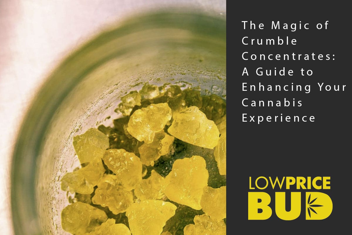 The Magic of Crumble Concentrates: A Guide to Enhancing Your Cannabis ...