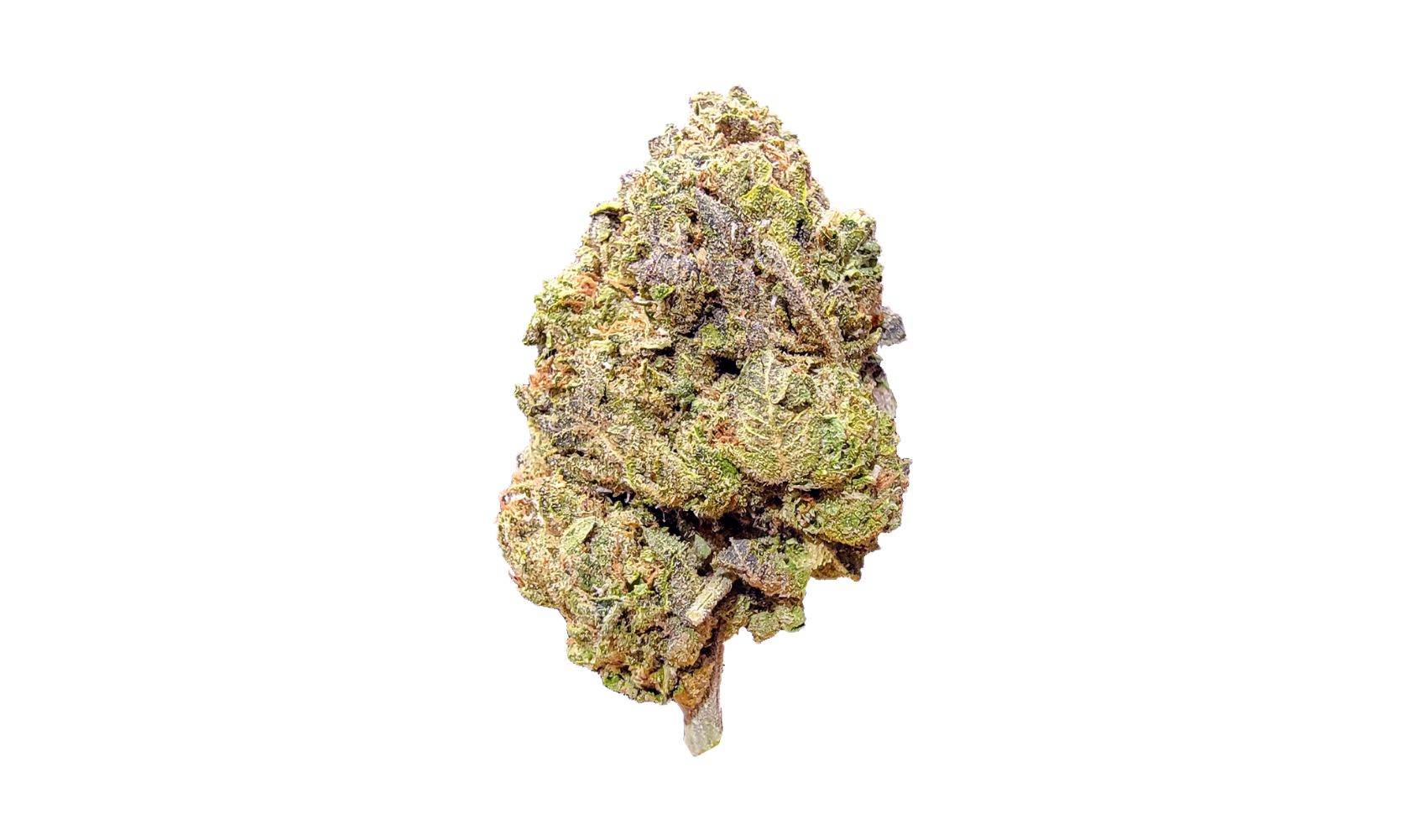 Jet Fuel Strain: Explore The Power Of This Potent Hybrid
