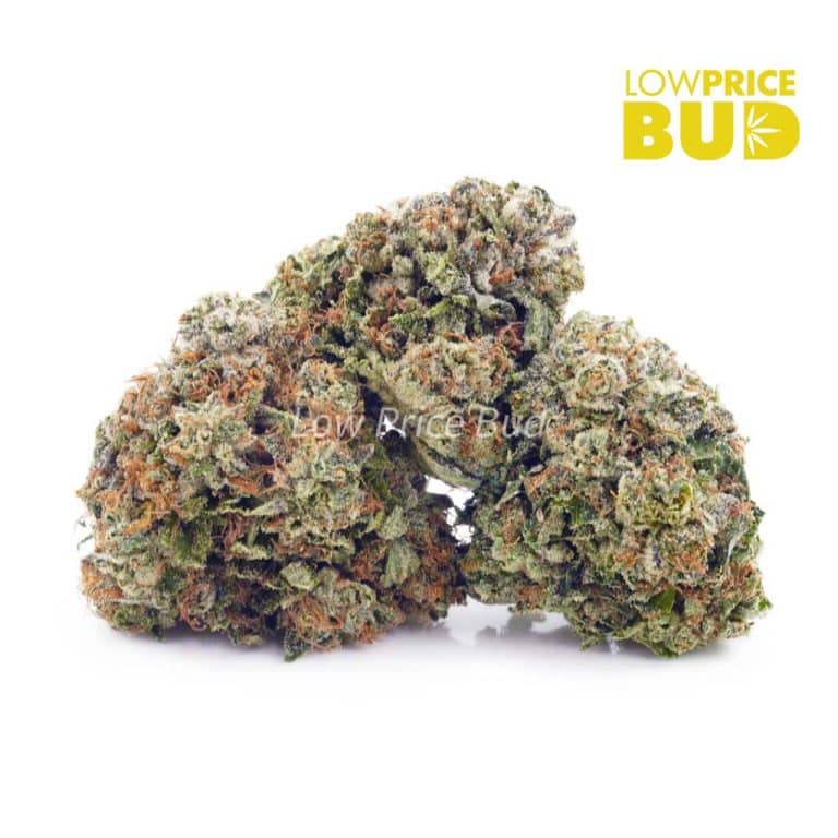 Build Your Own (AAAA) Half Pound - Low Price Bud