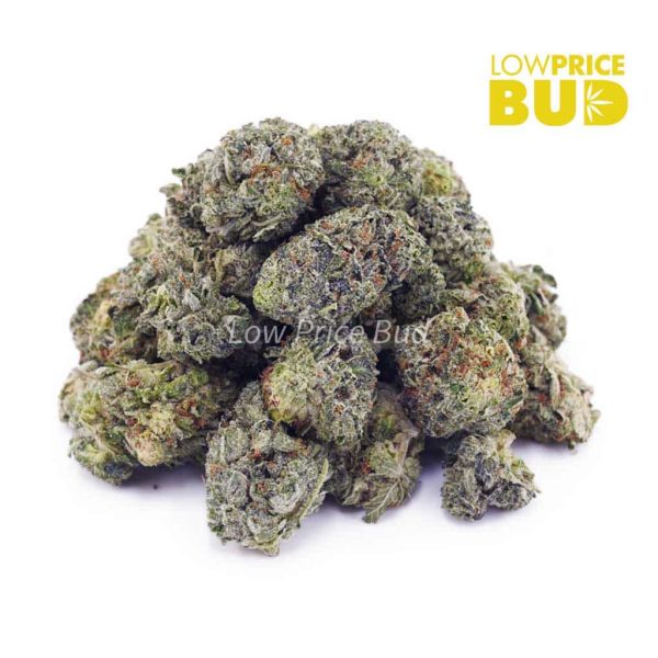 Buy Weed Online. #1 Online Dispensary Canada For Cheap Bud