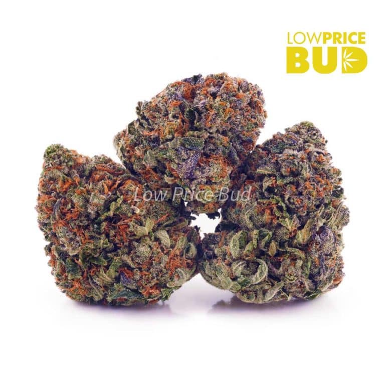 Build Your Own (AAAA) Half Pound - Low Price Bud