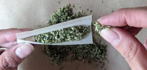 How To Roll A Spliff: Your Cheat Sheet For Rolling Spliffs