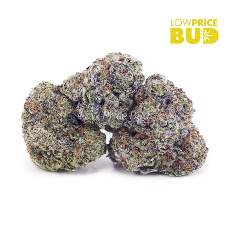 Blueberry Punch (AAAA) - Low Price Bud