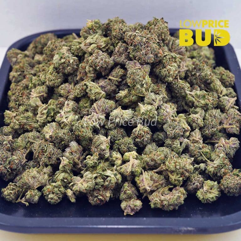 Vanilla Kush (AAAA) - Popcorn Nugs - Low Price Bud