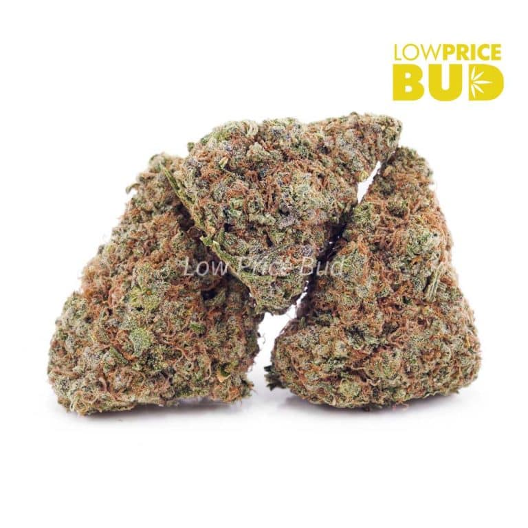Build Your Own (AAAA) Half Pound - Low Price Bud