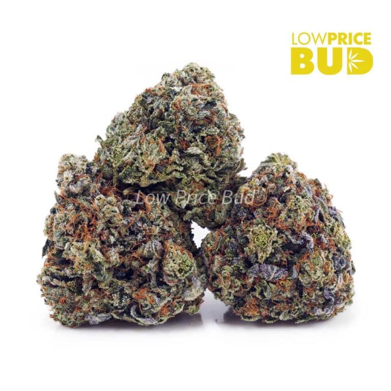 Build Your Own (AAAA) Half Pound - Low Price Bud