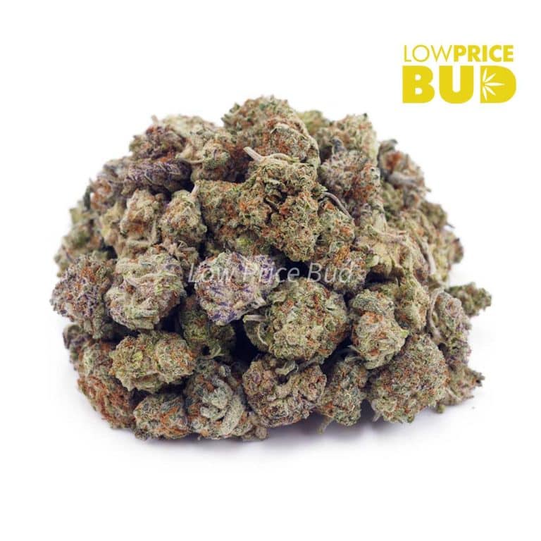 33 Splitter (AAAA) - Popcorn Nugs - Low Price Bud