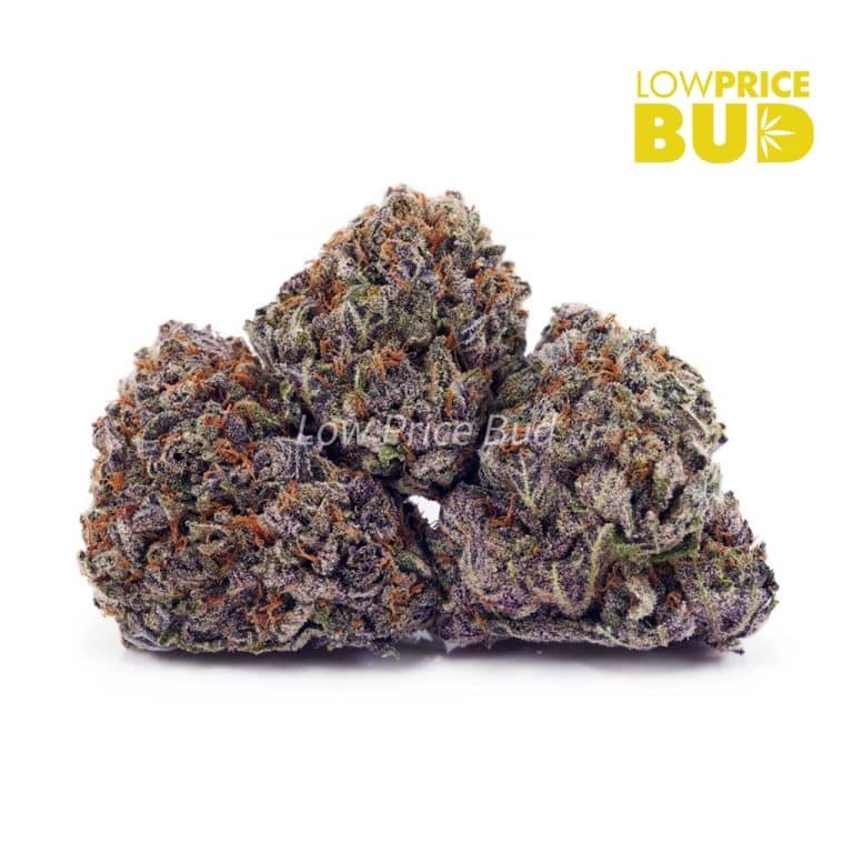 Donny Burger (AAA) - Low Price Bud