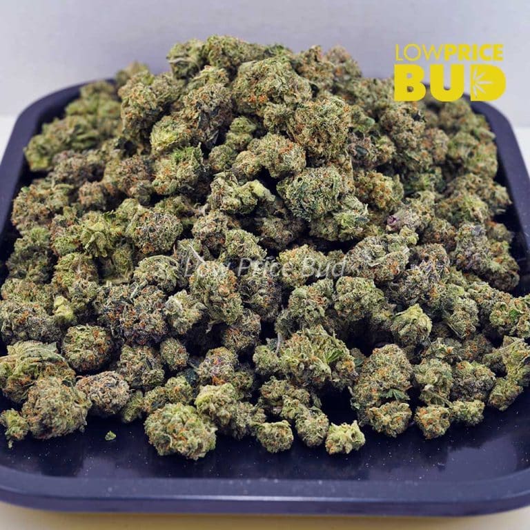 Pink Candy Kush (AAAA) - Popcorn Nugs - Low Price Bud