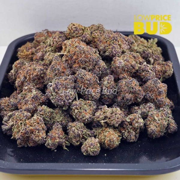 33 Splitter (Craft Cannabis) - Low Price Bud